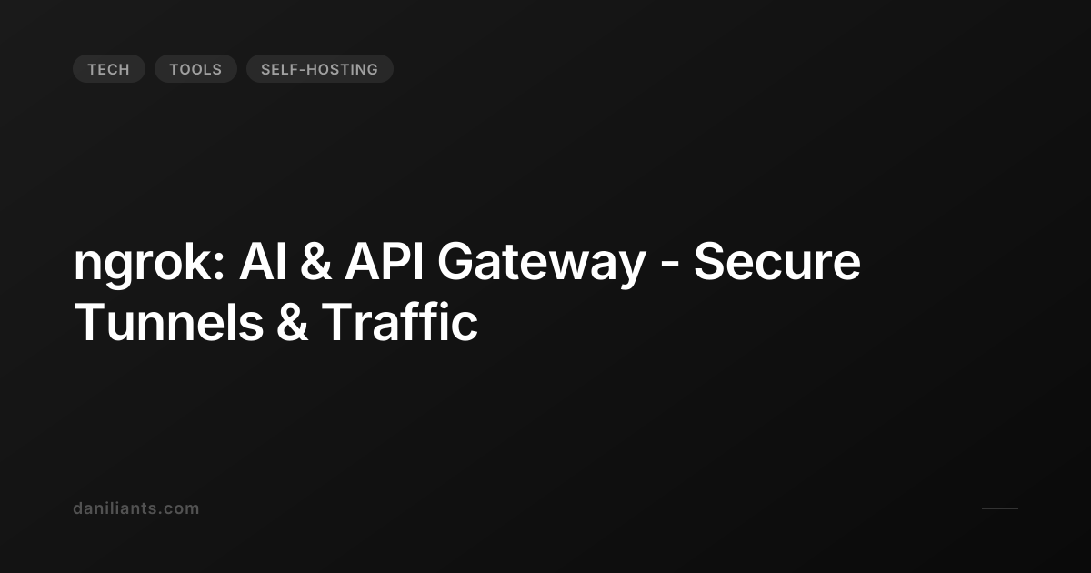 ngrok: AI & API Gateway - Secure Tunnels & Traffic | Artem Daniliants